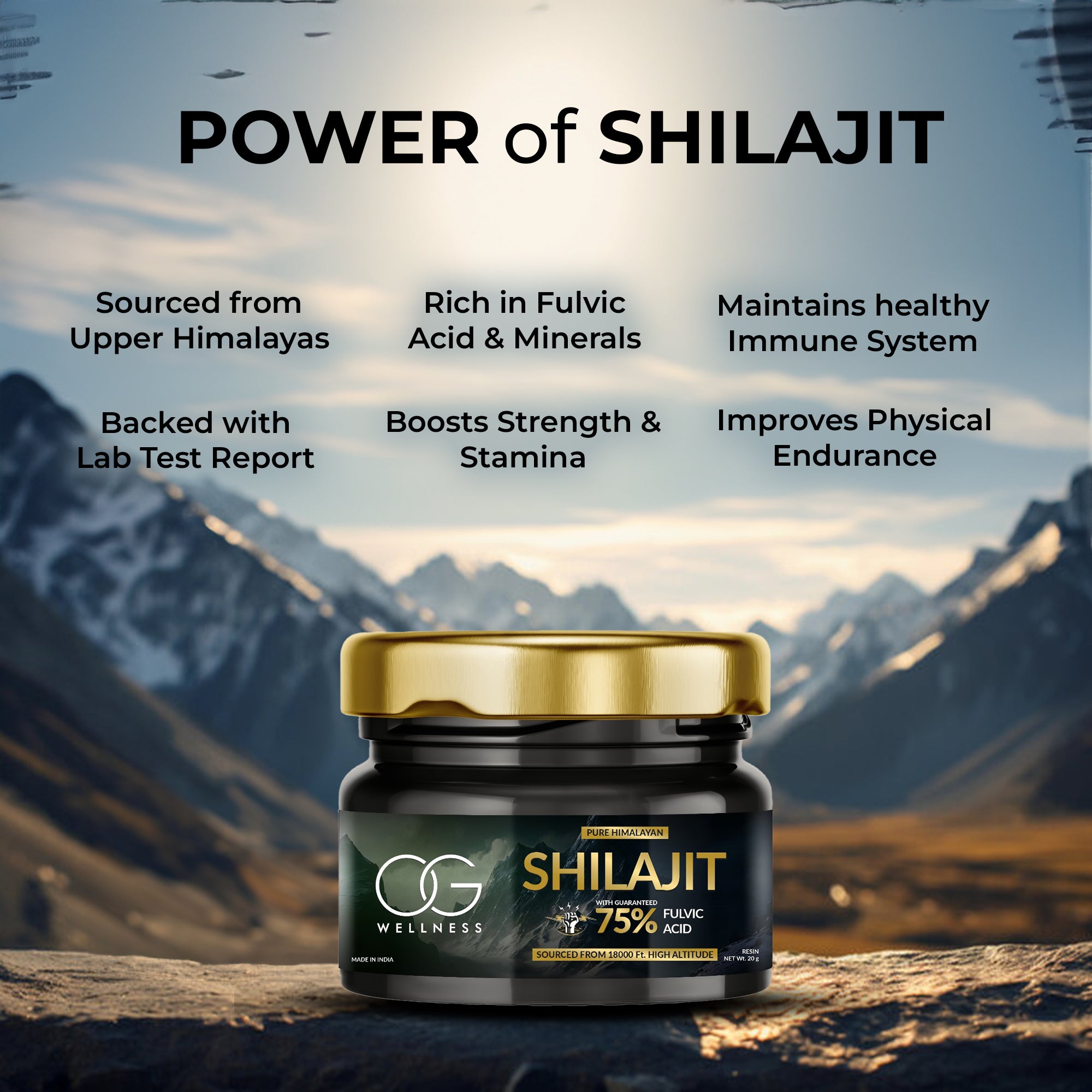 OG Wellness Pure Himalayan Shilajit | Guaranteed 75% Fulvic Acid - 20G